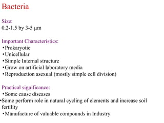 History of microbiology and structure of microbes | PDF
