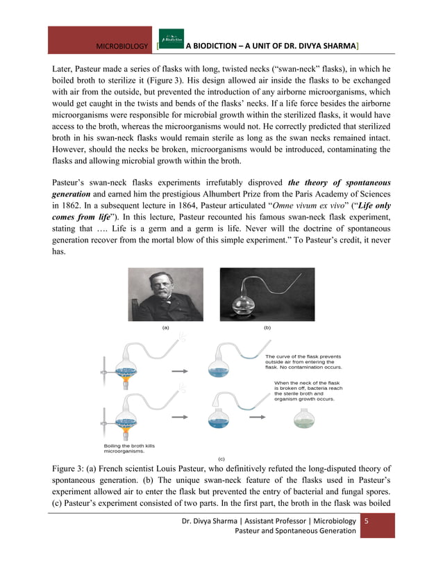 History of Microbiology and Pasteur's Experiment: Theory of Spontaneous ...