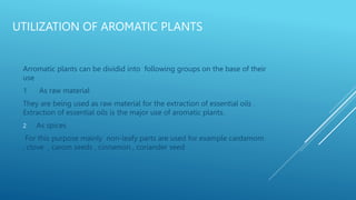 HISTORY AND UTILIZATION OF AROMATIC PLANTS.pptx