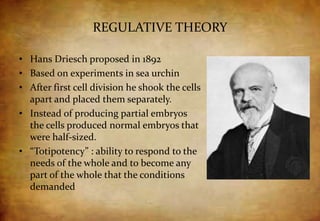 History & basic concepts db | PPTX