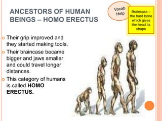 History ch 2 the earliest societies | PPT