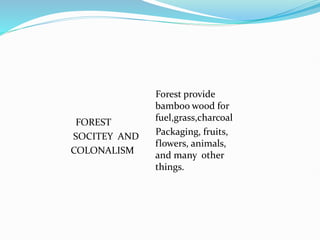 history chapter 4 forest society and colonalism | PPTX