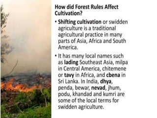 history chapter 4 forest society and colonalism | PPTX