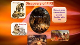 Hunting And Gathering Food