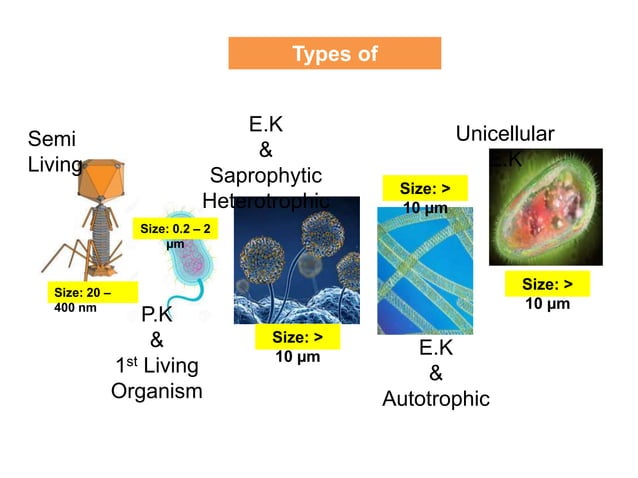 History & Development of Microbiology | PPT