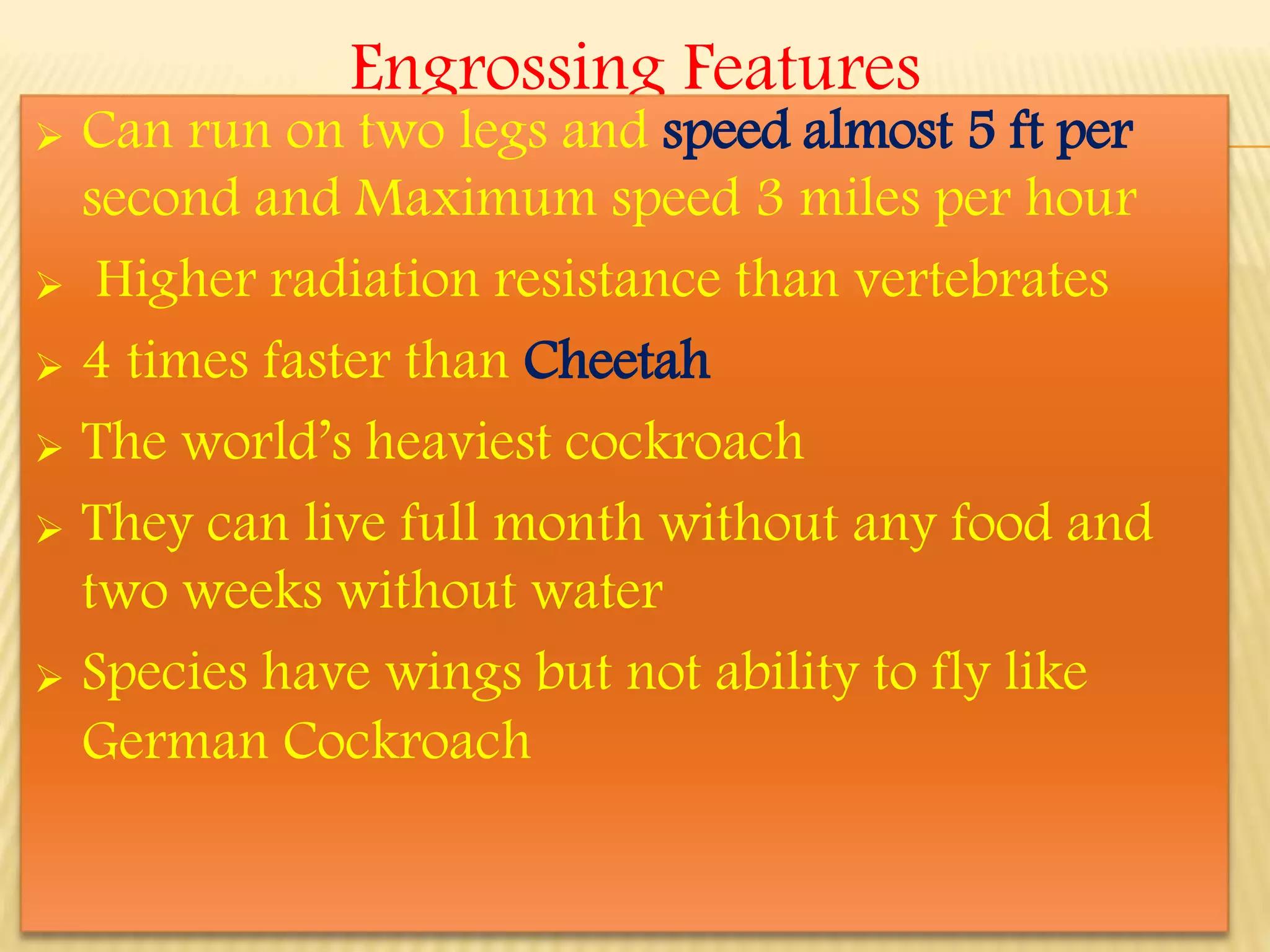 History , features and effects of cockroach on human beings | PPTX