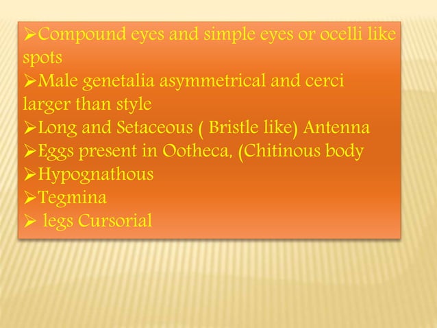 History , features and effects of cockroach on human beings | PPTX