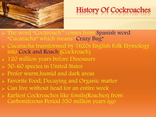 History , features and effects of cockroach on human beings | PPTX