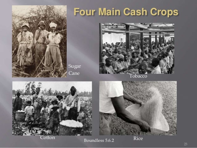 History group project