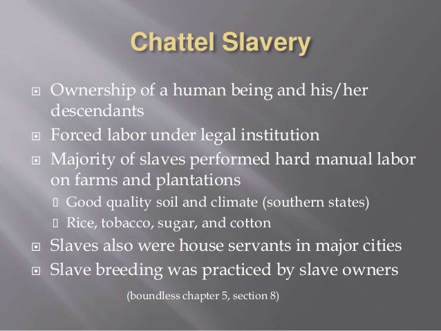 History group project