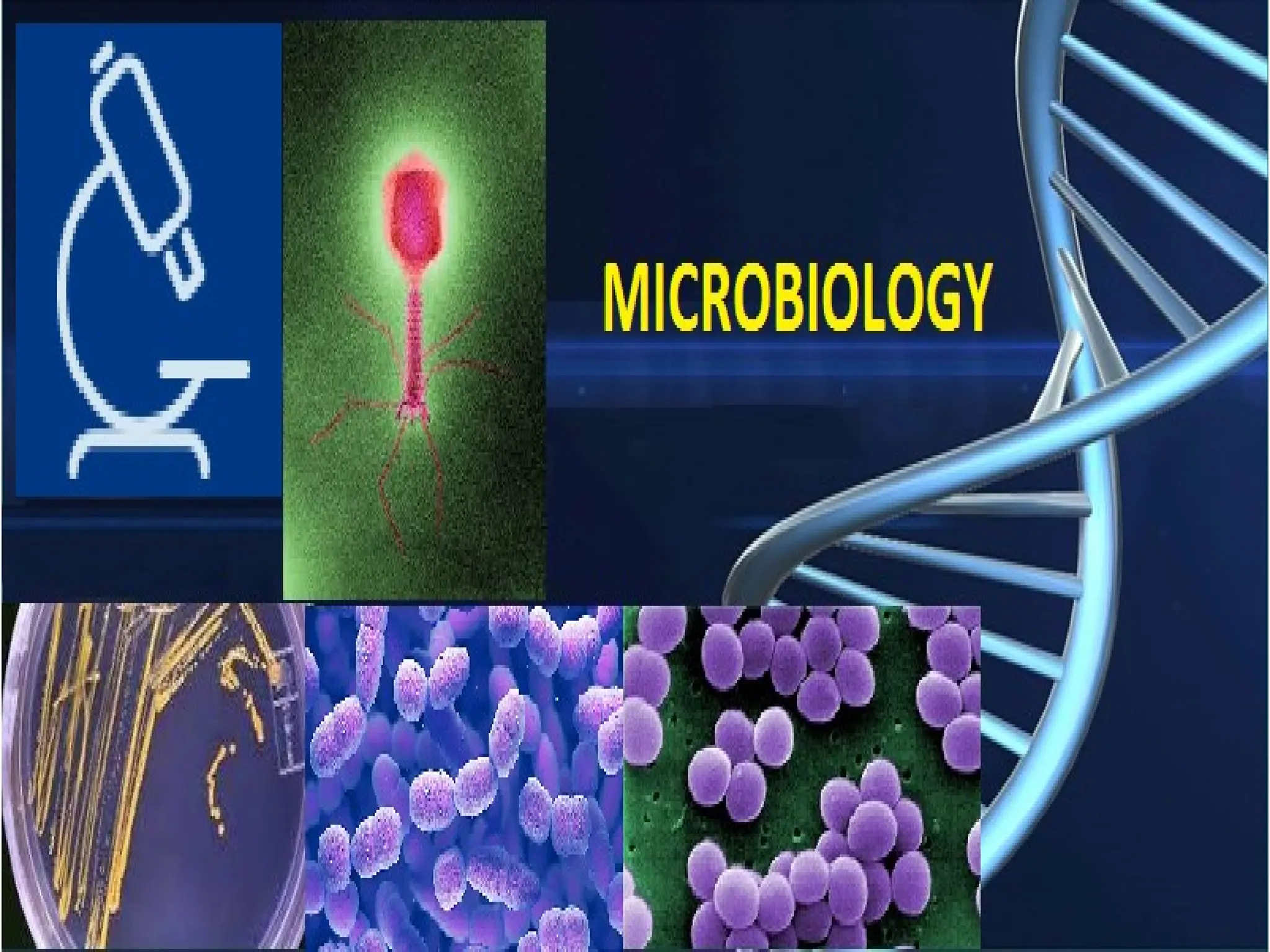 History & Introduction of Microbiology.pptx
