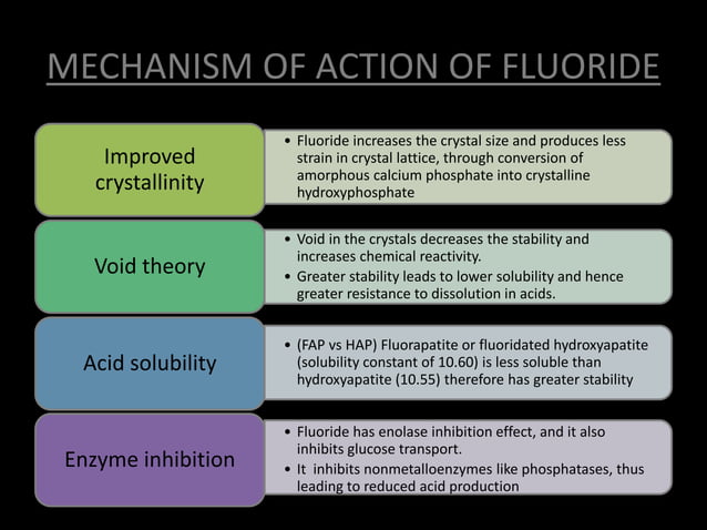 HISTORY & MECHANISM OF ACTION SYSTEMIC FLUORIDES.pptx | Dental Health ...