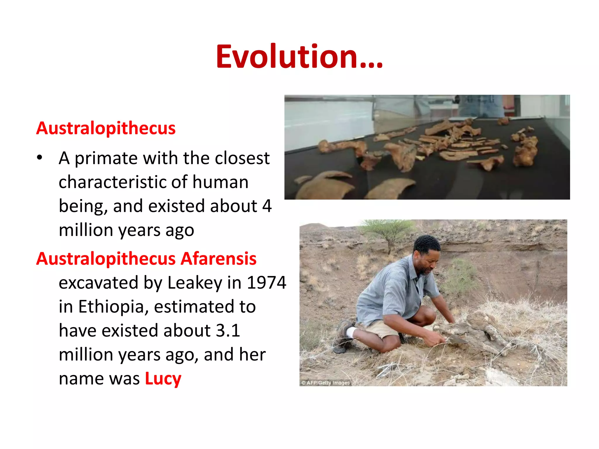 History module 4_sinaunang_panahon2[3] | PPTX