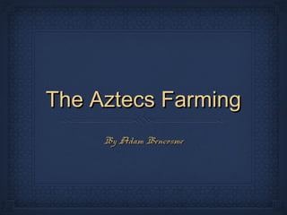 Aztec Farming | PPT