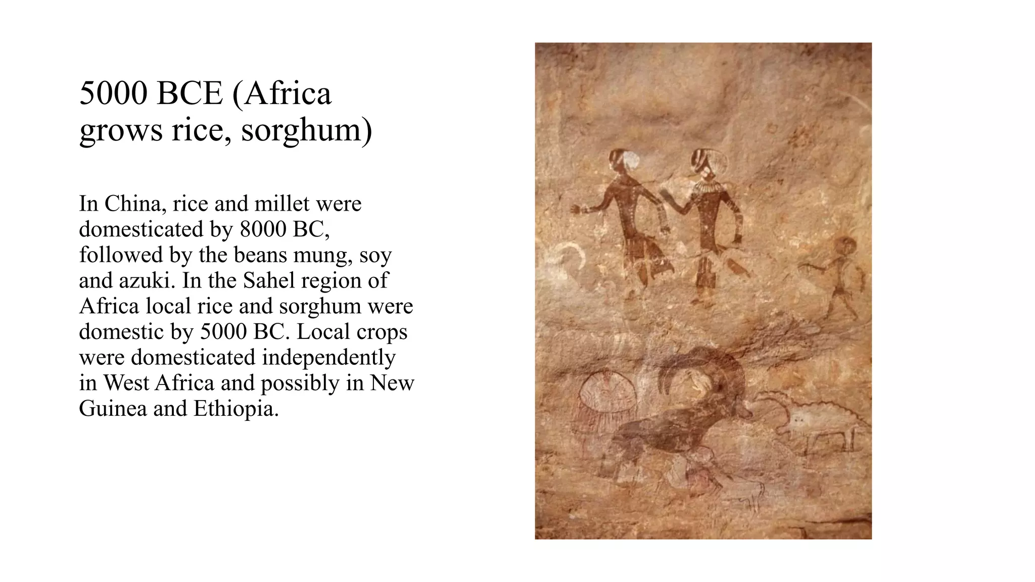 History of agriculture.pptx