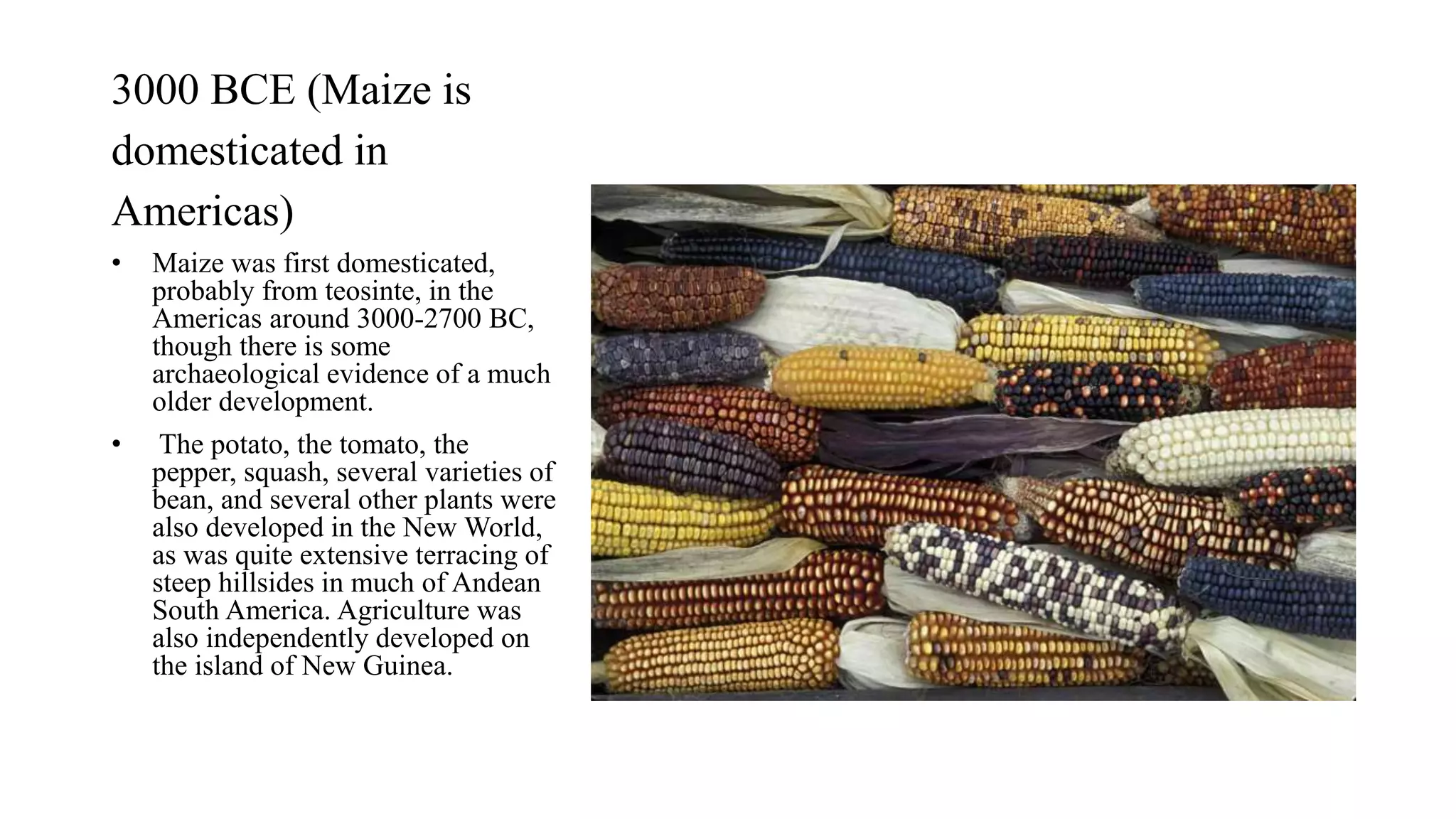 History of agriculture.pptx