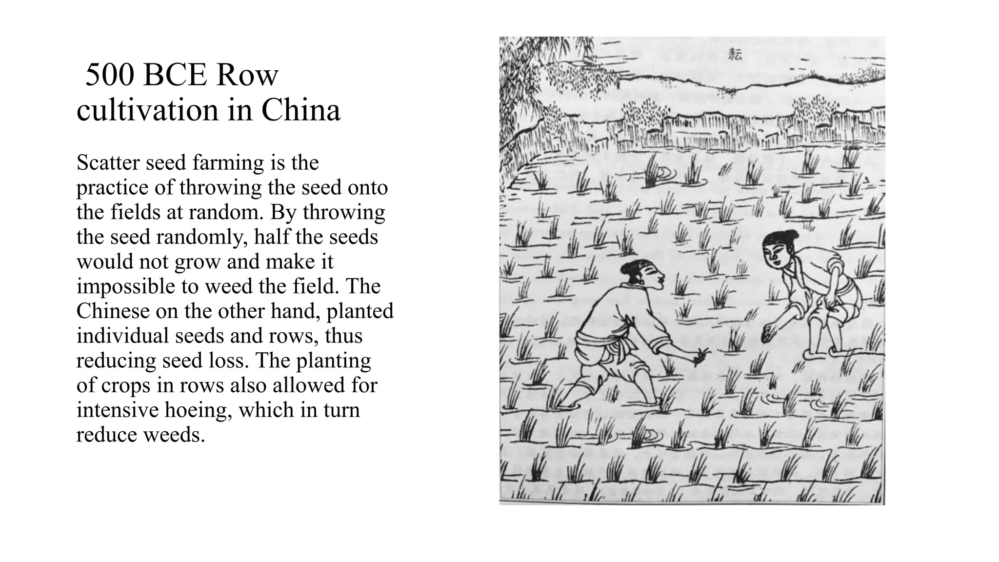 History of agriculture.pptx