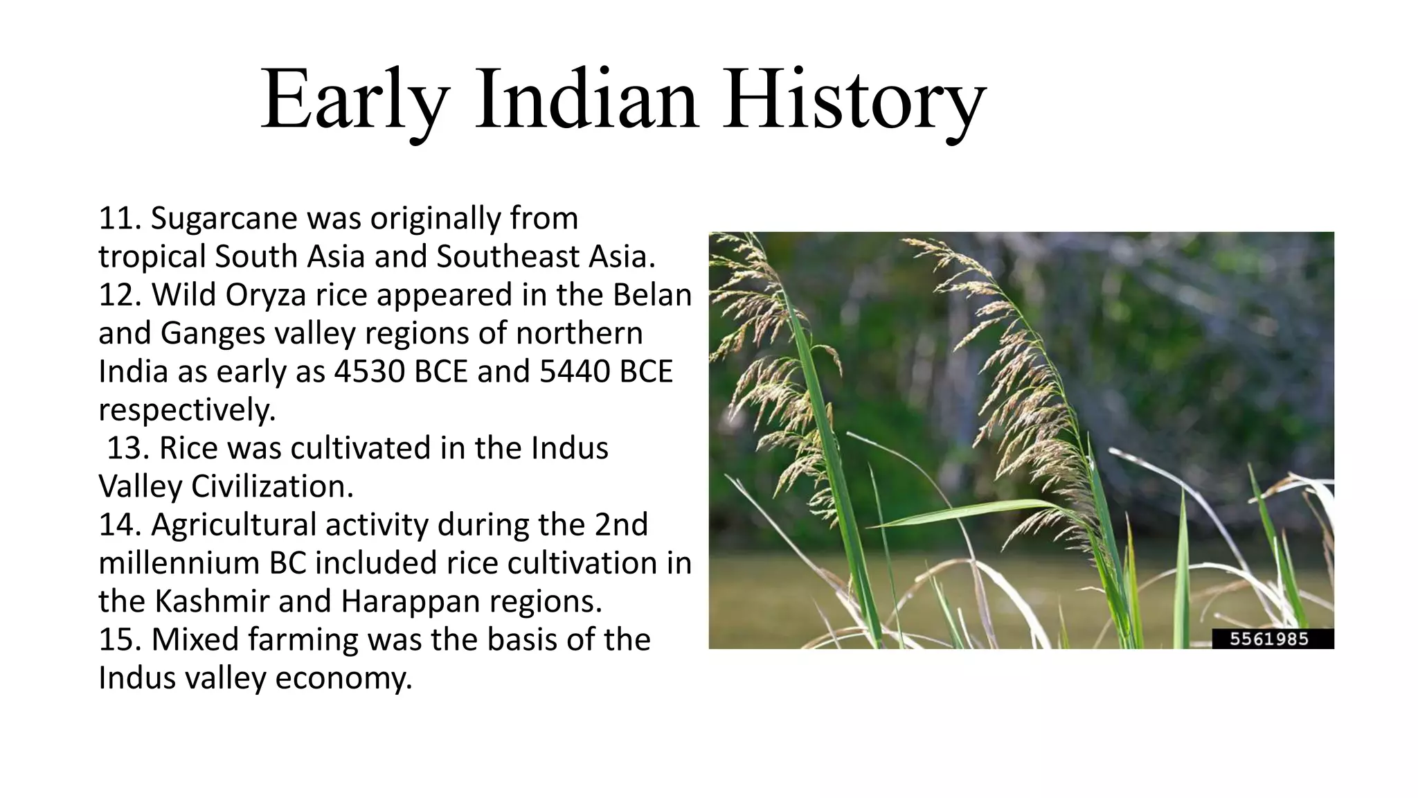 History of agriculture.pptx