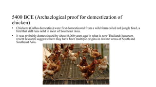 History of agriculture.pptx
