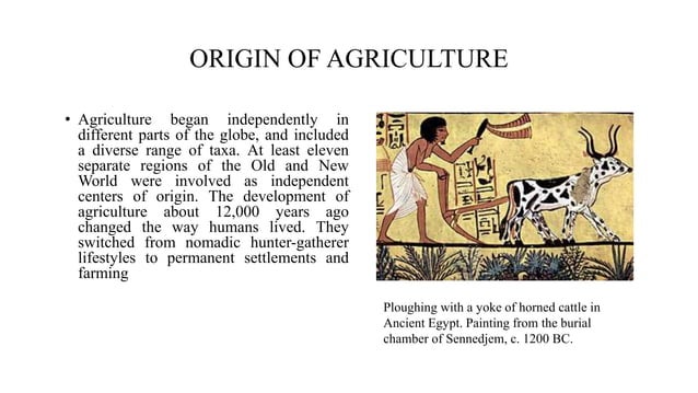 History of agriculture.pptx | Agriculture | Industries