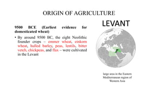 History of agriculture.pptx