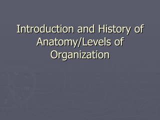 History Of Anatomy | PPT