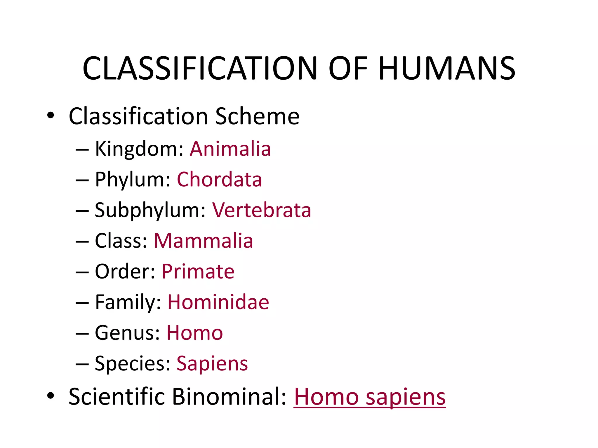 HISTORY OF ANATOMY.ppt