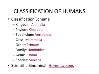 HISTORY OF ANATOMY.ppt