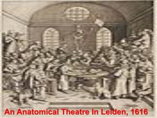 history of anatomy.pdf