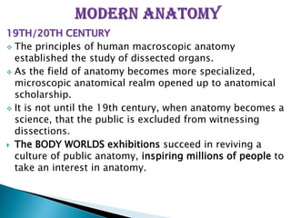 history of anatomy.pdf