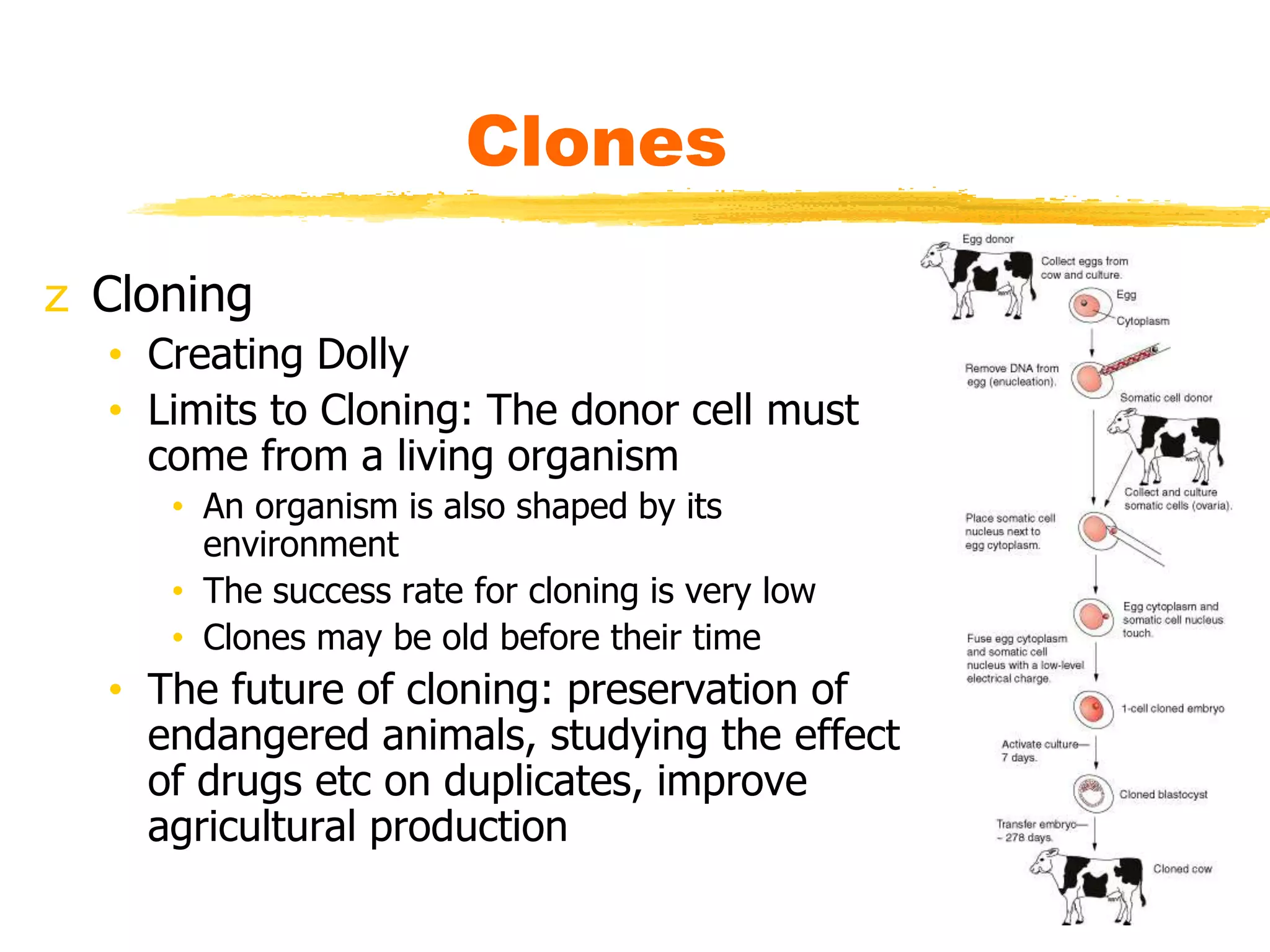 History of animal biotechnology.ppt