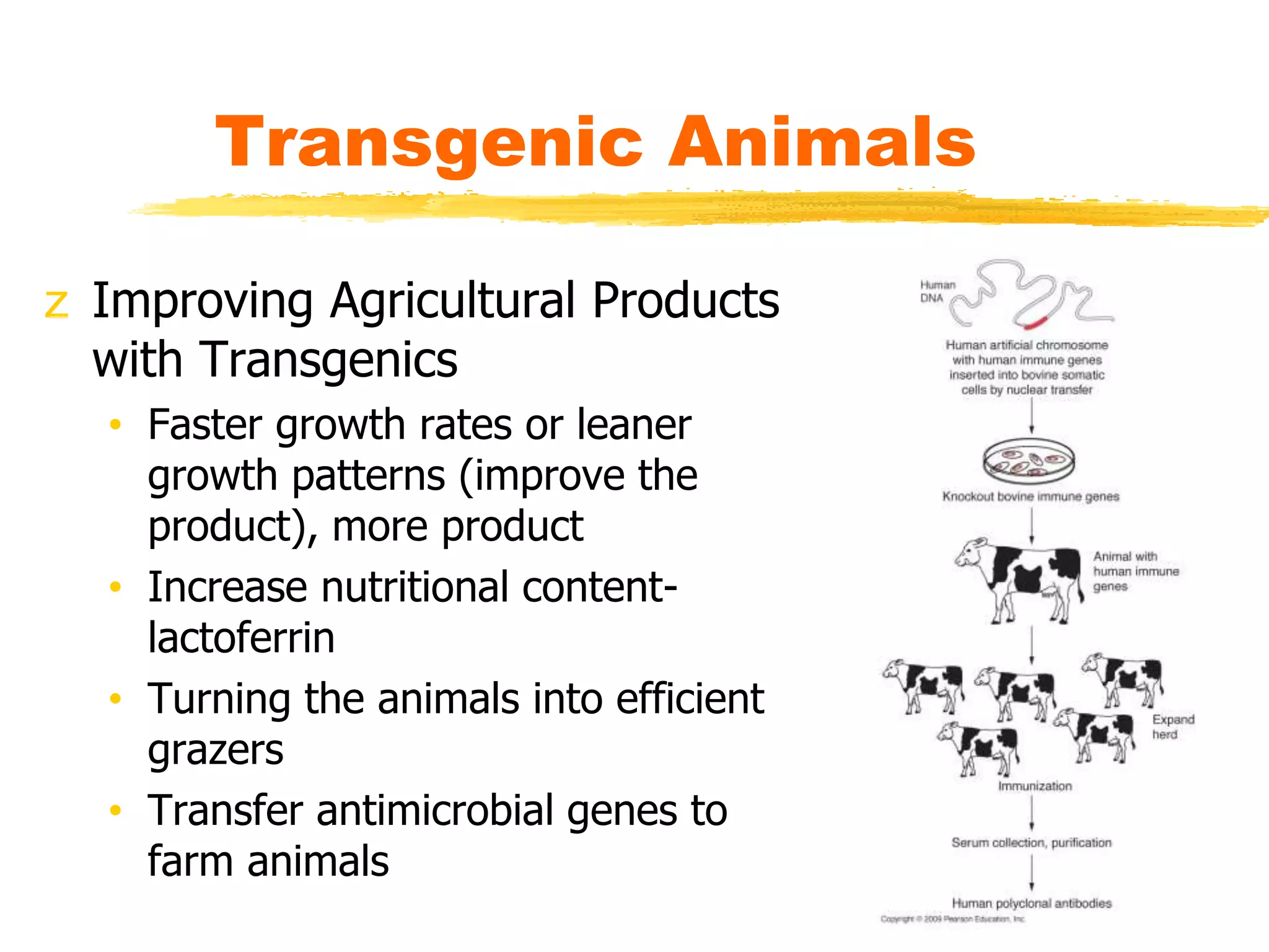 History of animal biotechnology.ppt