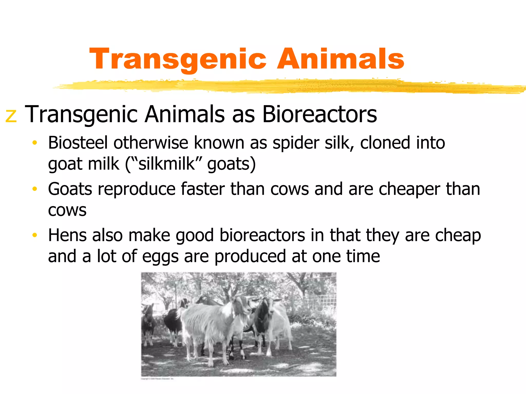 History of animal biotechnology.ppt
