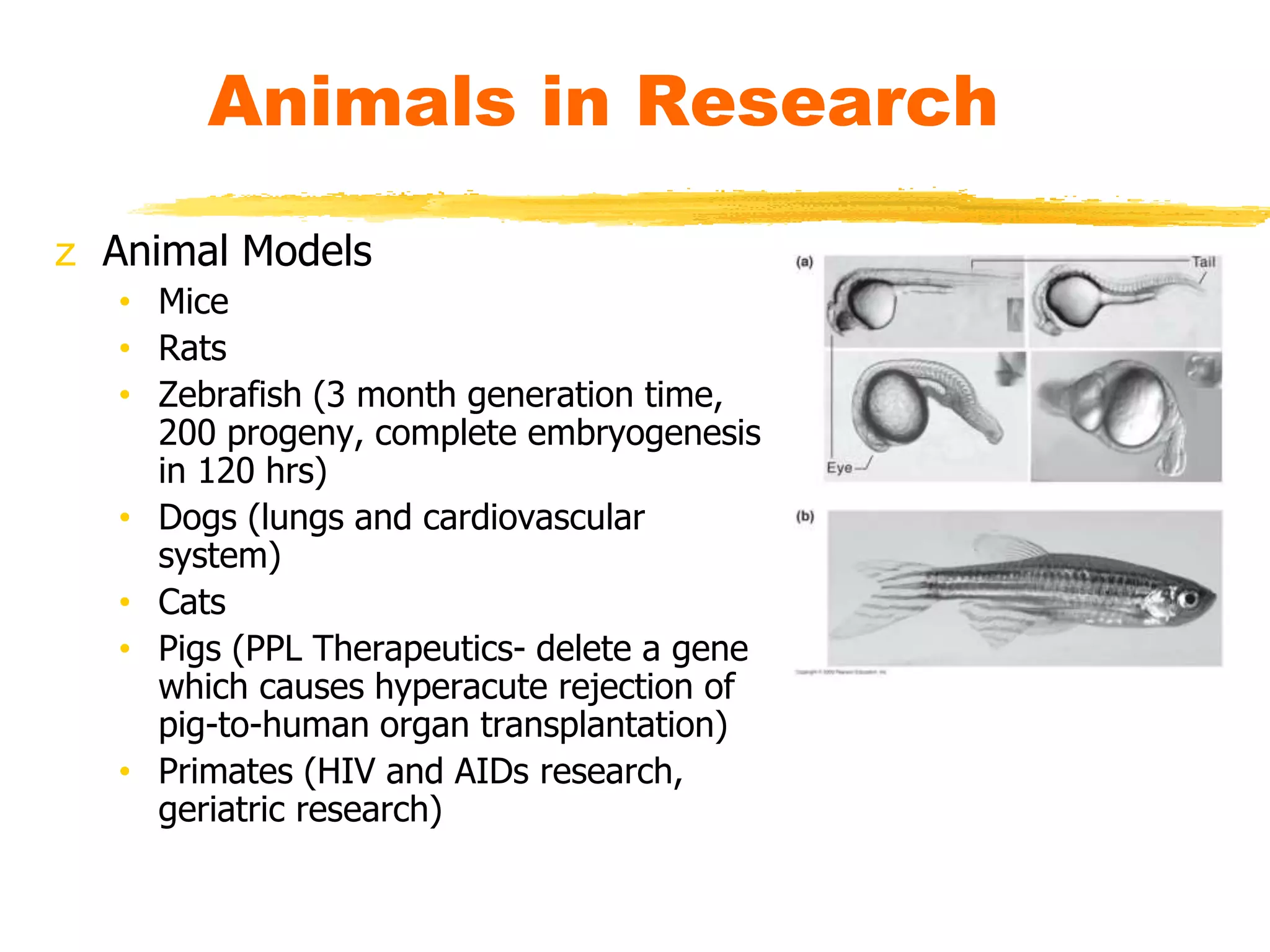 History of animal biotechnology.ppt