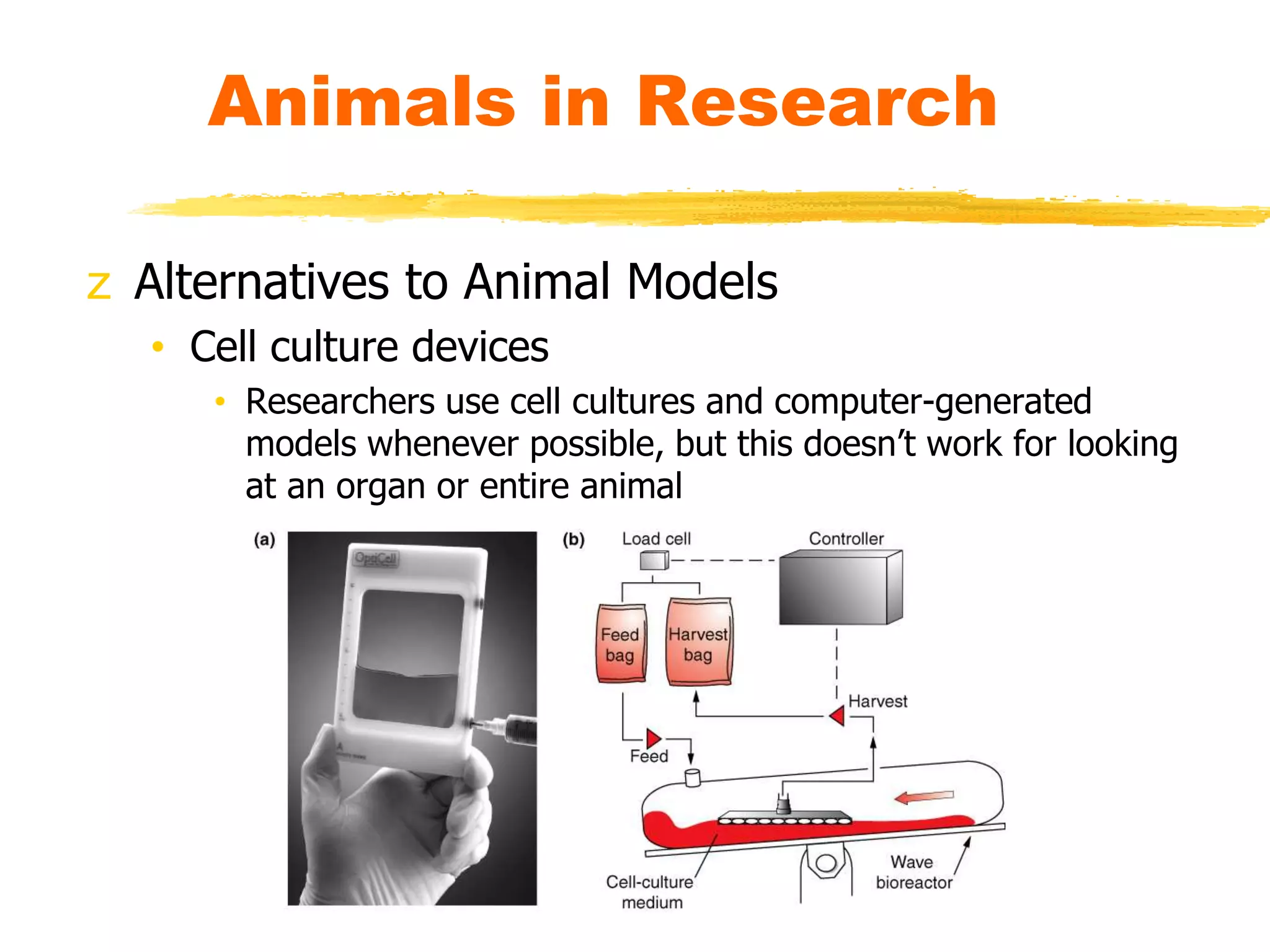 History of animal biotechnology.ppt