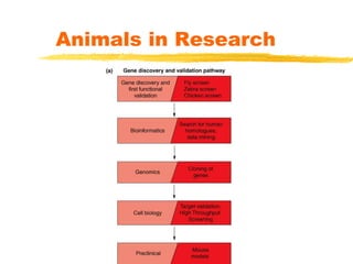 History of animal biotechnology.ppt