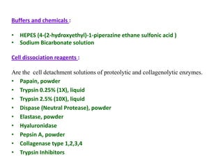 History of animal cell culture, cell final | PPTX