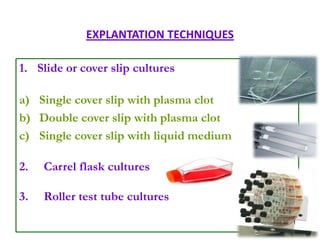 History of animal cell culture, cell final | PPTX
