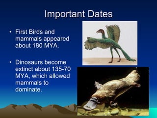 History Of Animals | PPT