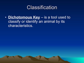 History Of Animals | PPT