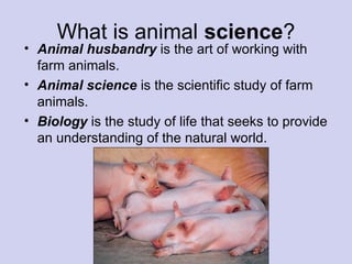 History and Process of Animal Science Industry.ppt