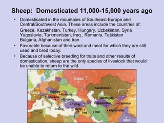 History and Process of Animal Science Industry.ppt