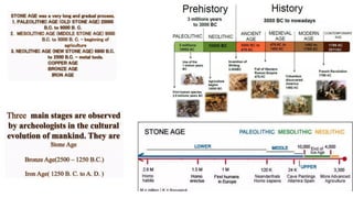 History of Architecture prehistoric period onwards | PPTX