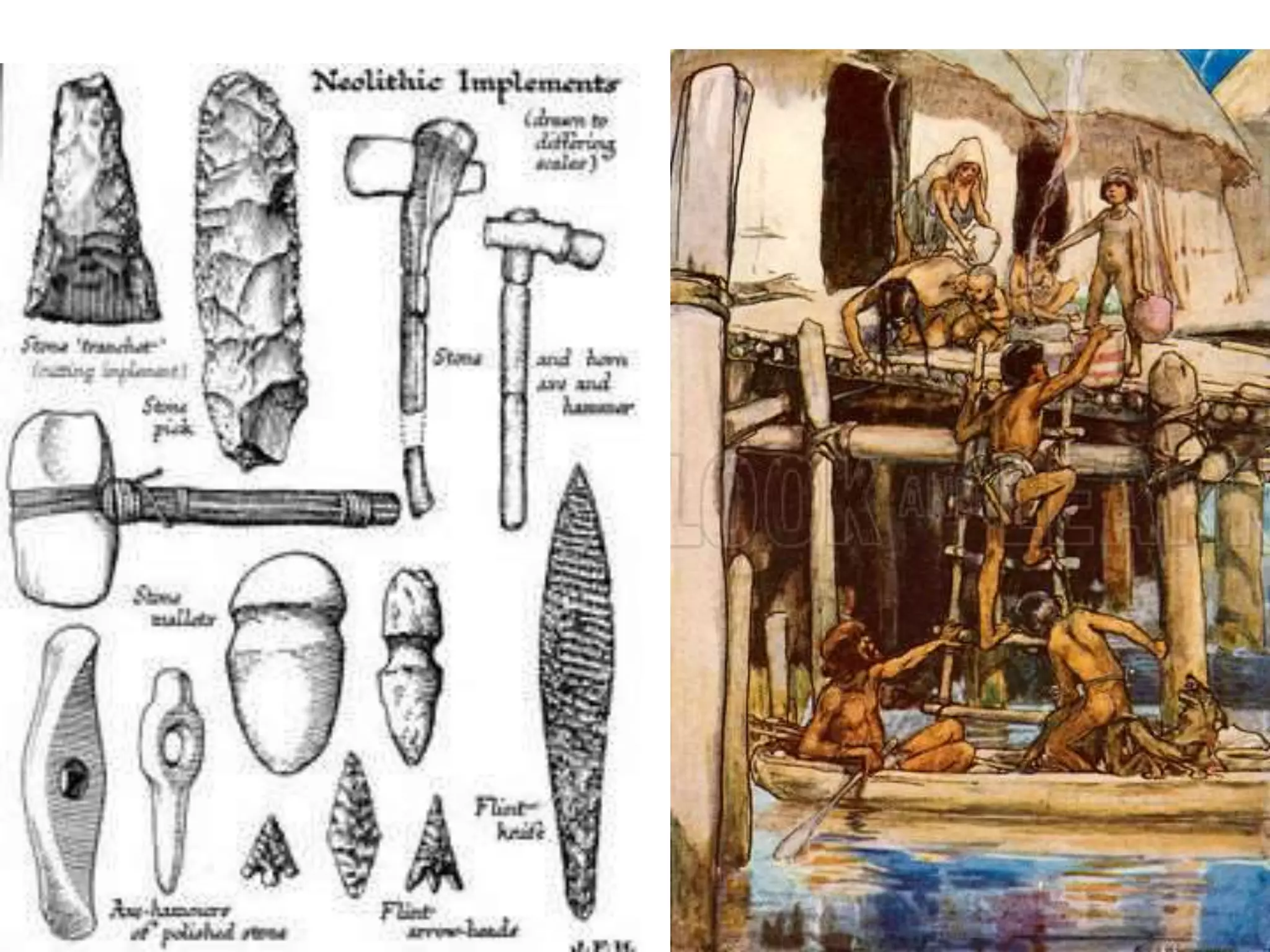 Prehistoric Culture & Shelter | PPTX