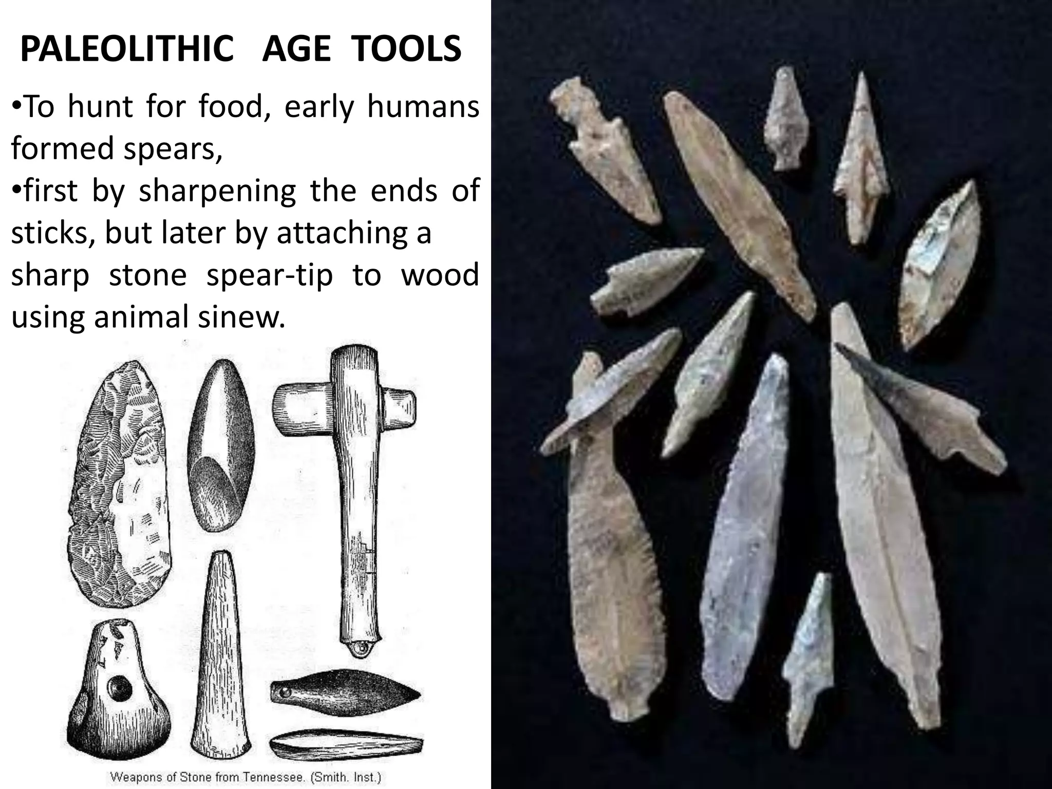 Prehistoric Culture & Shelter | PPTX