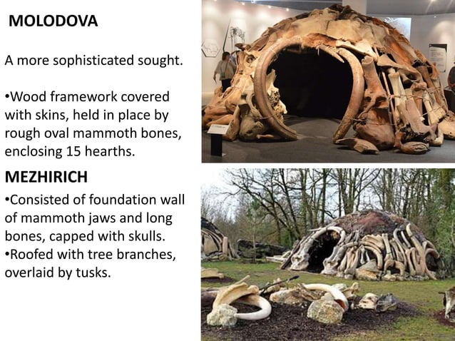 Prehistoric Culture & Shelter | PPTX