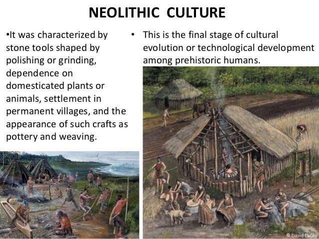 Neolithic Shelters