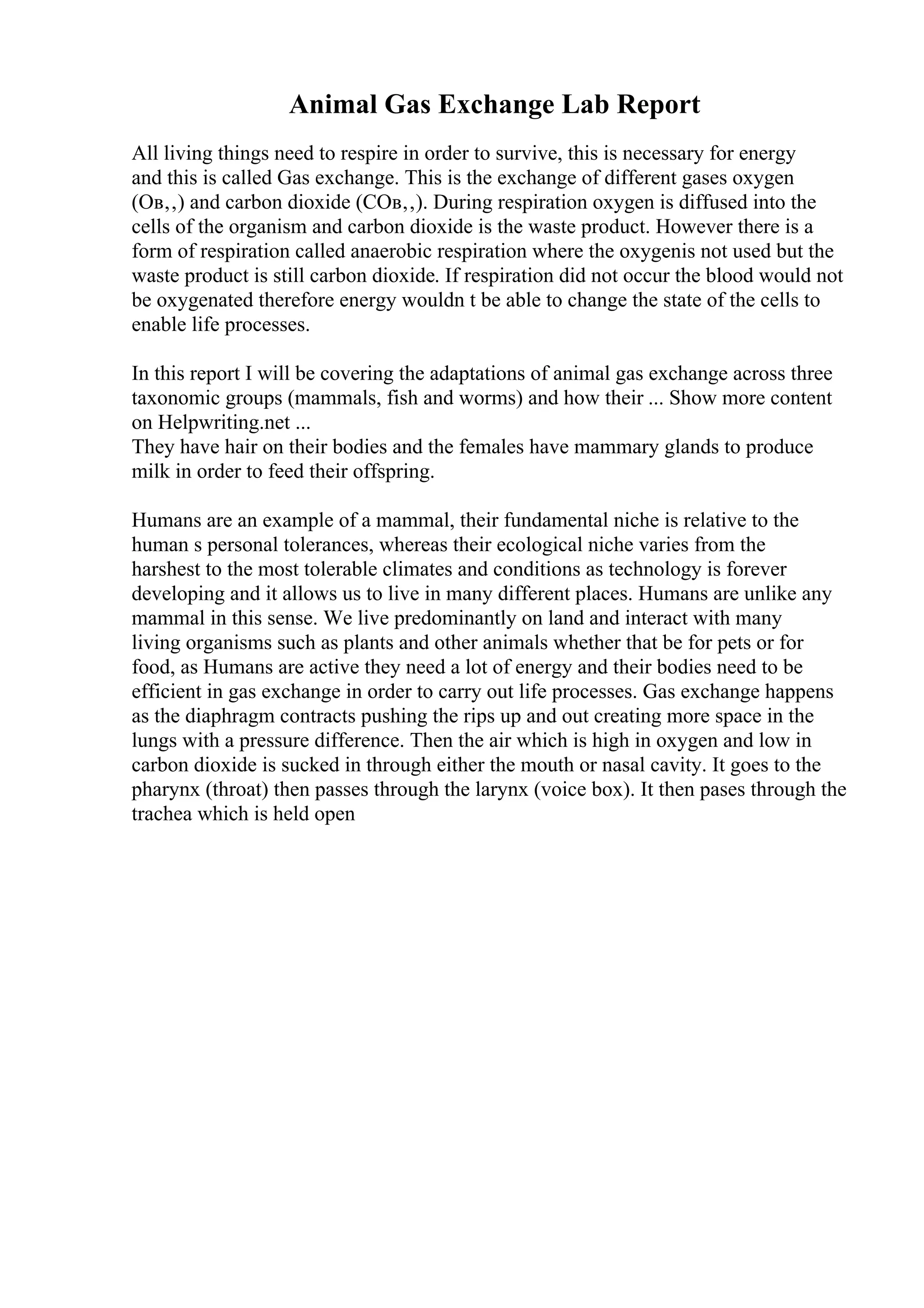 History Of Basketball Essay | PDF