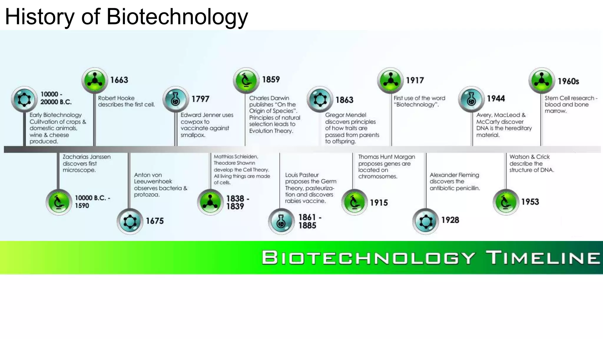 History of biotechnology pvj | PPT