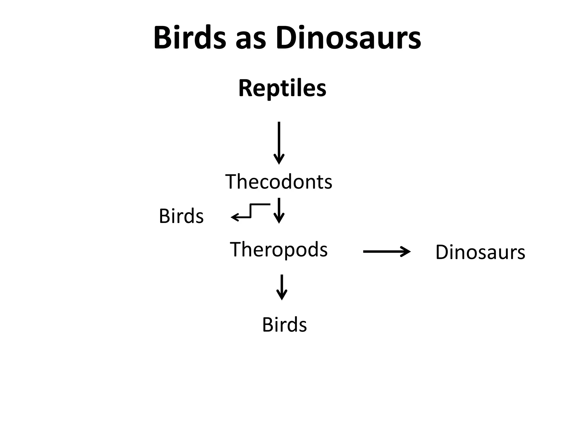 History of Birds Evolution.pptx